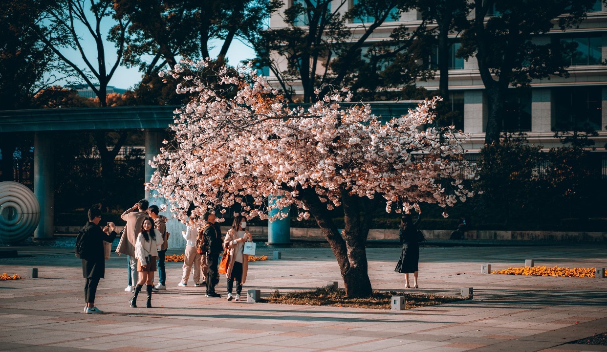 Eyepetizer | 开眼视频 神级治愈短片：听，东京午后的风声